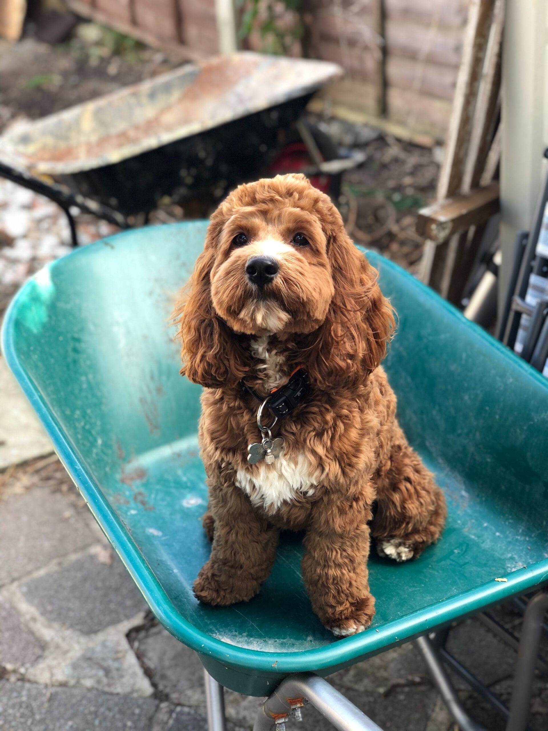 Incarnations: A Pastoral Blog for Ministers – Incarnating The Kerygma